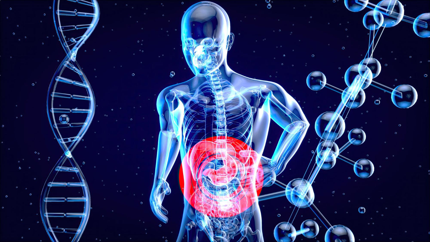 The Best Gut Health Supplements in 2024: A Complete Guide