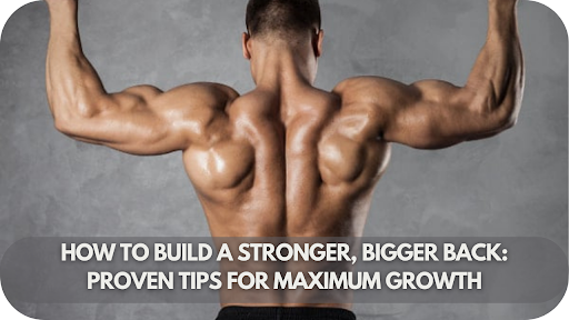 How to Build a Stronger, Bigger Back: Proven Tips for Maximum Growth
