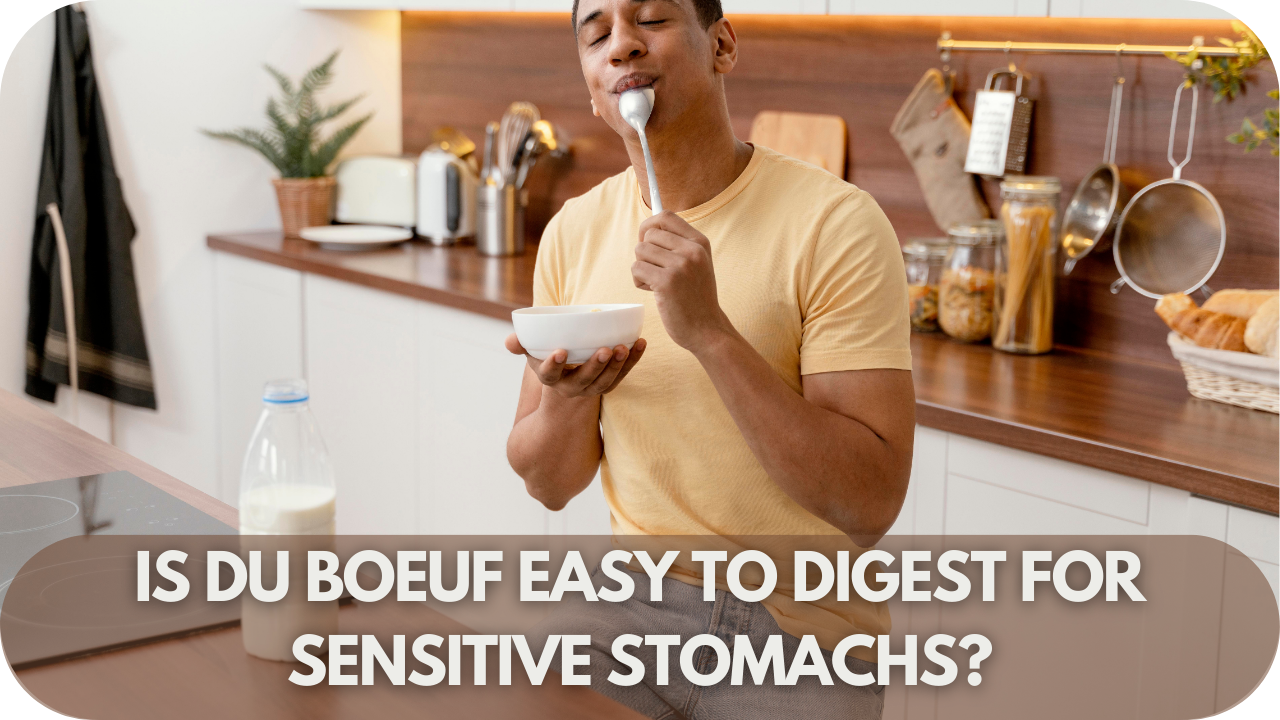 Is Du Boeuf Easy to Digest for Sensitive Stomachs?
